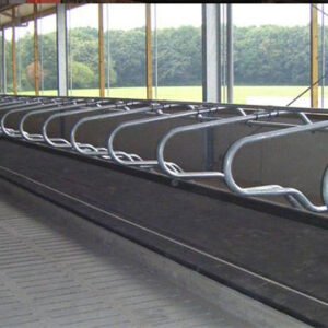 Cubicle Cow Mats Dubai | Buy Best Cubicle Mats For Cows UAE